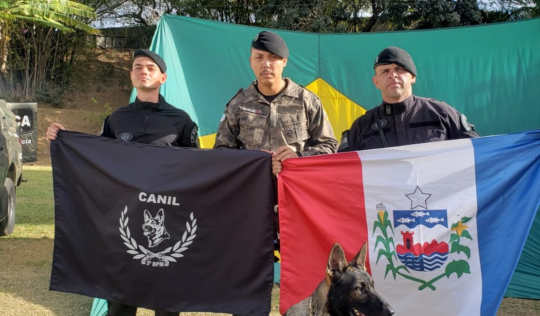 Policiais Militares Do 3º Bpm De Arapiraca Concluem Curso De